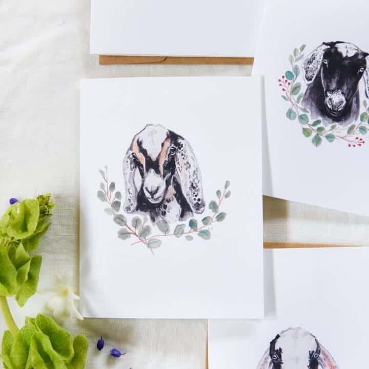 Free Printable Goat Greeting Cards - Boxwood Ave