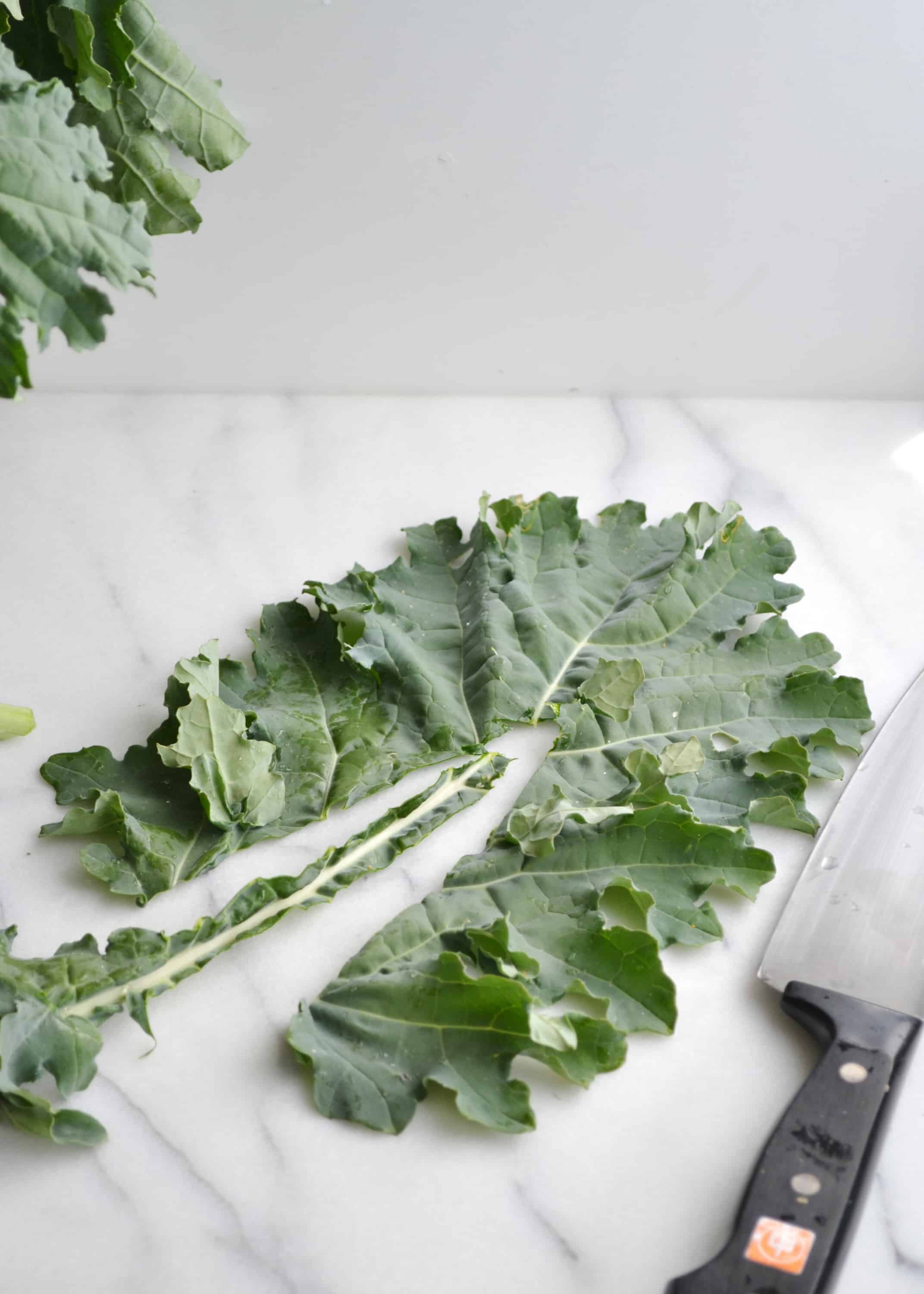 How to Freeze Kale | Preserving Kale - Boxwood Ave.