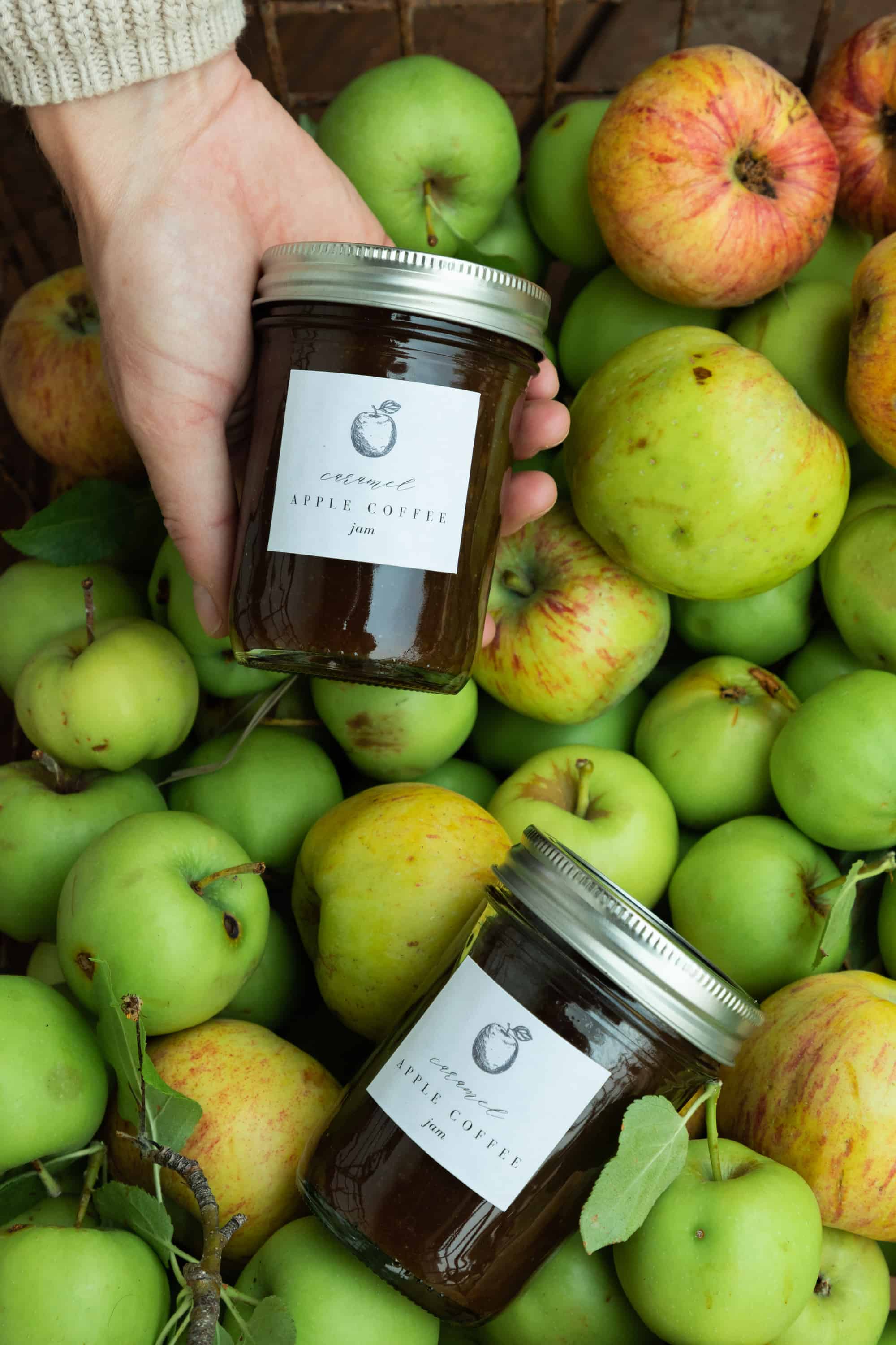 Free Printable Labels for Apple Preserves - Boxwood Ave