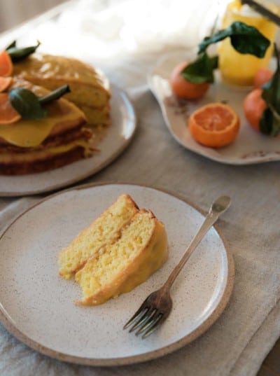 Orange Cake Recipe with Orange Curd Filling - Boxwood Ave.